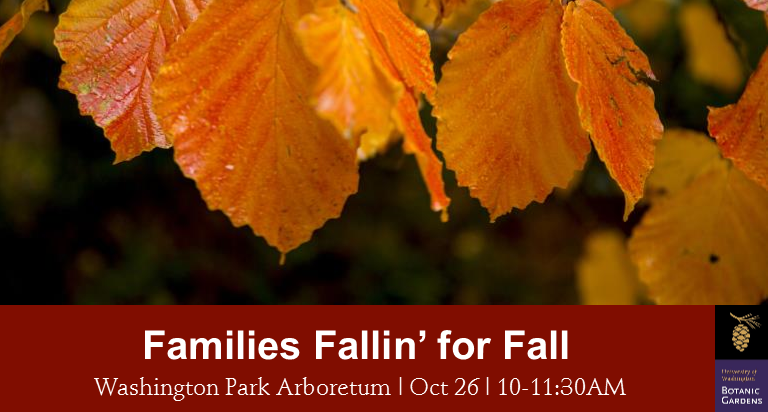 Families Fallin' for Fall | Seattle Area Family Fun Calendar | ParentMap